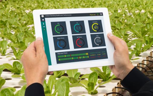 Teachers | Science Fair Central