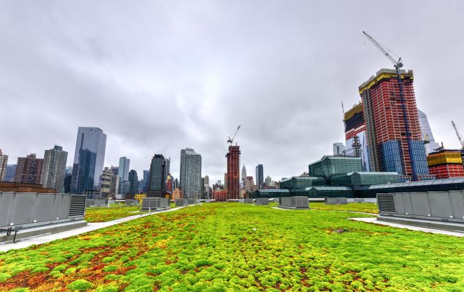 Teachers | Science Fair Central