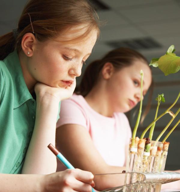 Teachers | Science Fair Central